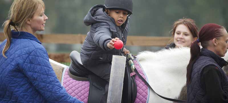 RDA Wilton: Elevating Visitor Experience with CX